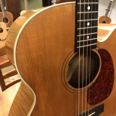 1981 Petillo Jumbo Cutaway Maple Phillip Petillo | Reverb
