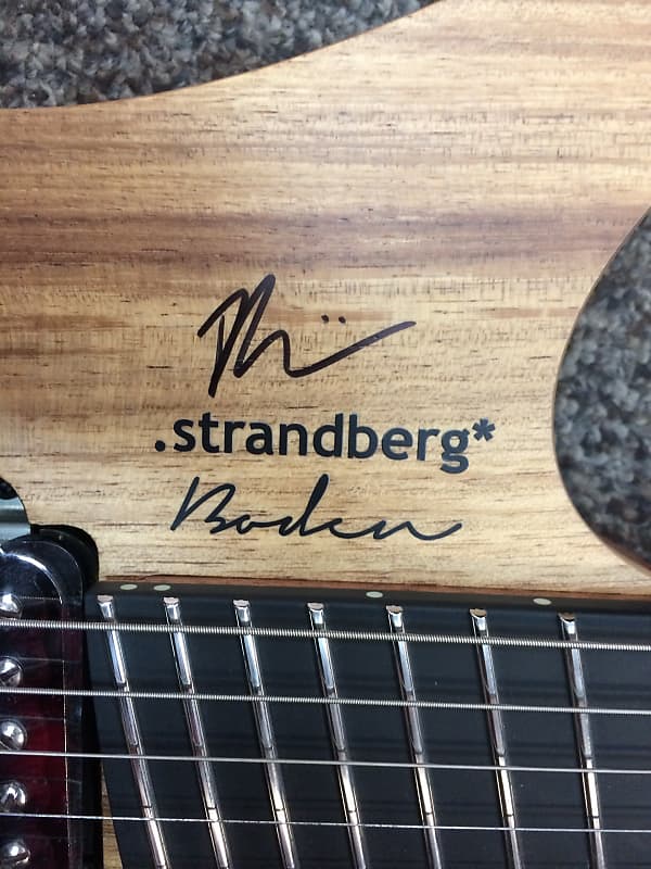 Strandberg Guitars Plini Strandberg Plini - Signed by Plini | Reverb