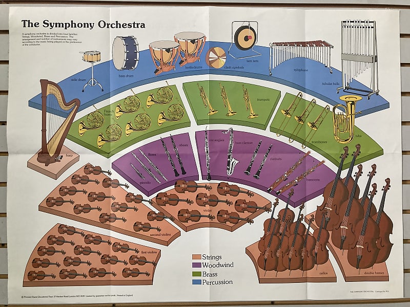 "The Symphony Orchestra" Poster | Reverb