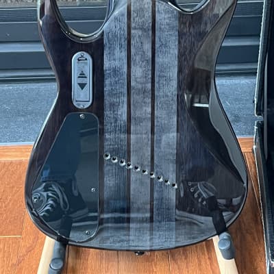 Agile 10 string 2019 | Reverb