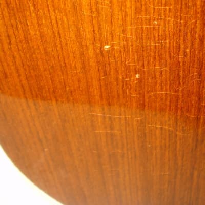 Vintage 1977 Charles Hoffman 12-String Acoustic Guitar w/ | Reverb