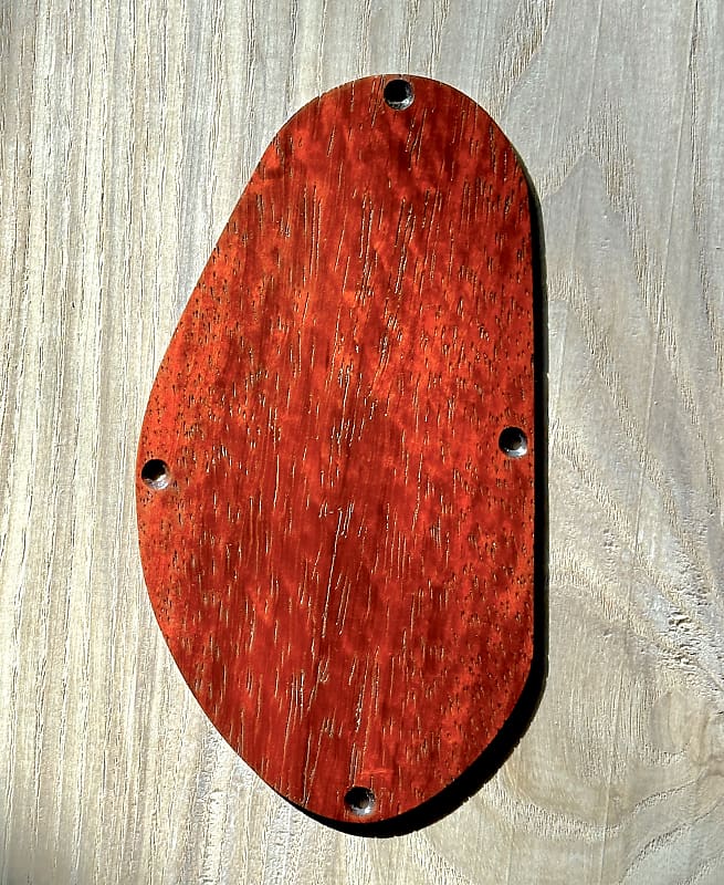 Kiesel Small Electronics Cavity Cover Backplate - Padauk in | Reverb
