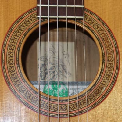 1999 Michael Turko "Tennessee Tornado " Parlor Guitar | Reverb
