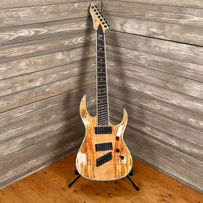 BC Rich Shredzilla 7 String Prophecy Fanned Archtop Guitar | Reverb