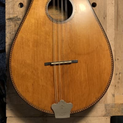 1920s Regal “Octofone” Octave Mandolin / Mandola | Reverb