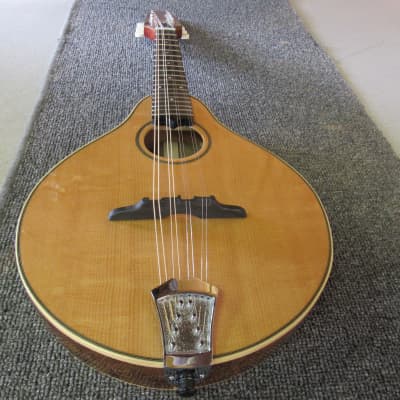 Beard Celtic Mandolin | Reverb