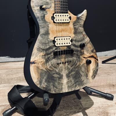 Kiesel SCB6 2022 - Buckeye Burl Matte | Reverb