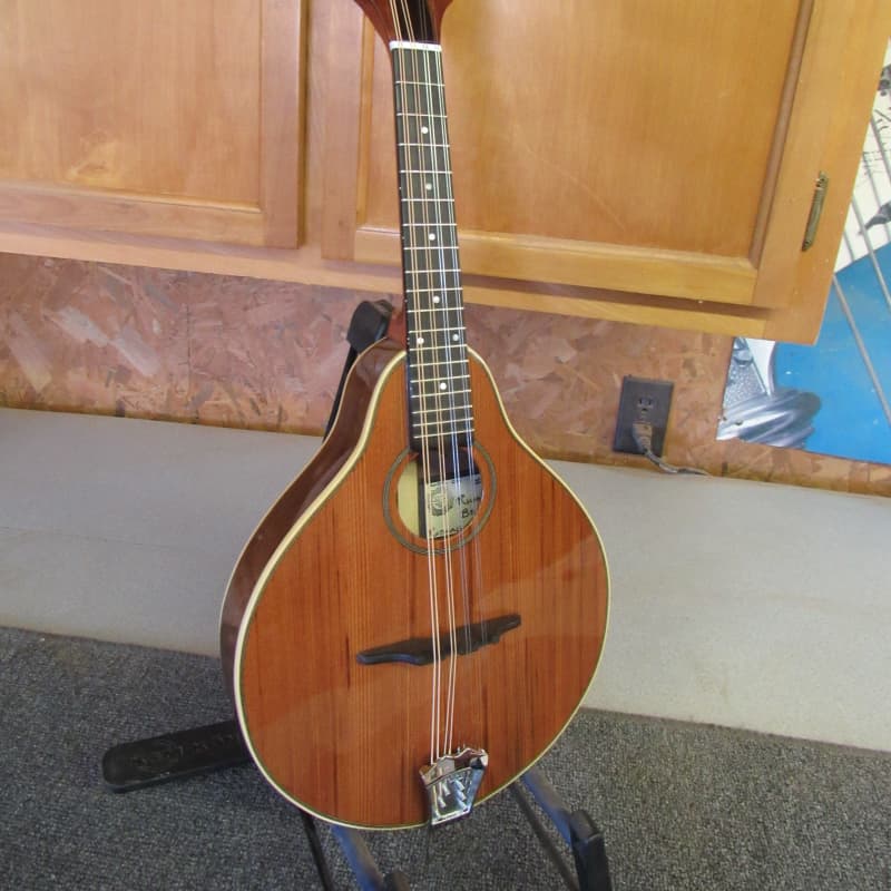 Mandolins - New & Used Mandolins For Sale | Reverb