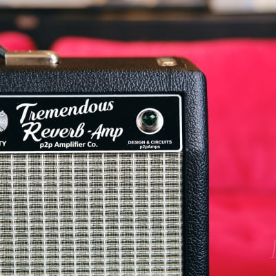 "Tremendous Reverb" 1x12 Combo by P2P Amplifiers - Princeton | Reverb