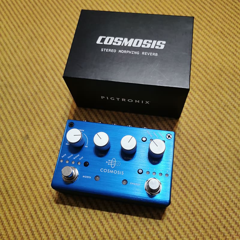 Pigtronix cosmosis 2024 | Reverb