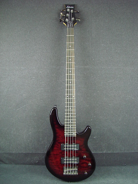 Schecter Diamond Series Raiden Special-5 Five String Electric | Reverb