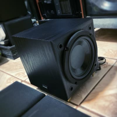 Pinnacle SubSonic Powered Subwoofer. 300w. Dual 6.5”s. New | Reverb