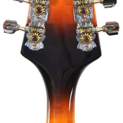 Rogue RM-100A A-Style Acoustic Mandolin - Used | Reverb France