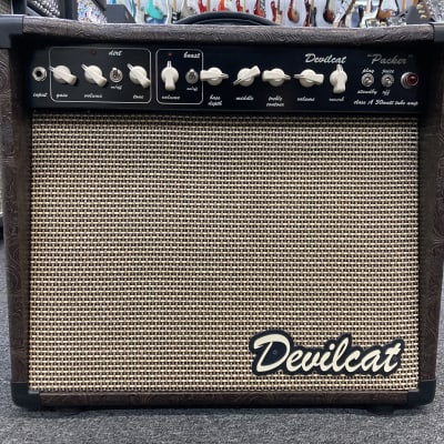 Devilcat Packer Guitar Amplifier 30W 1x12" Tube Combo w/ | Reverb