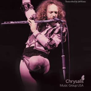 jethro tull flute