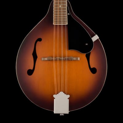 Cifteli Qifteli Albanian Kosovo music instrument | Reverb