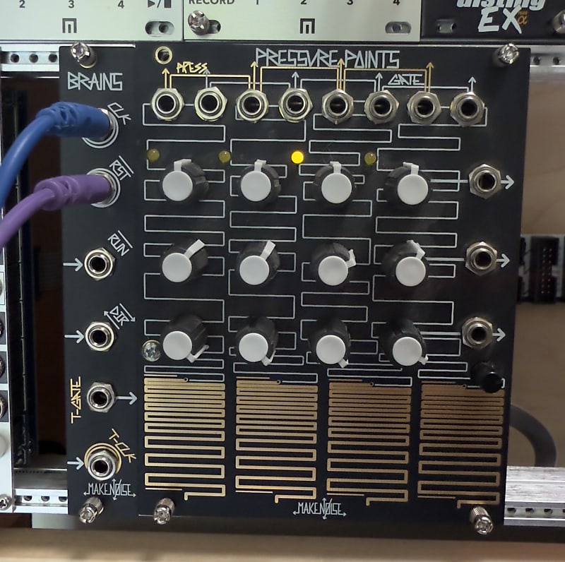 Make Noise Pressure Points + Brains 2010’s - black | Reverb