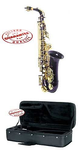 Hawk Colored Student Purple Alto Saxophone with Case, | Reverb