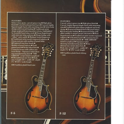 Gibson Mandolin Series Brochure 1975 | Reverb