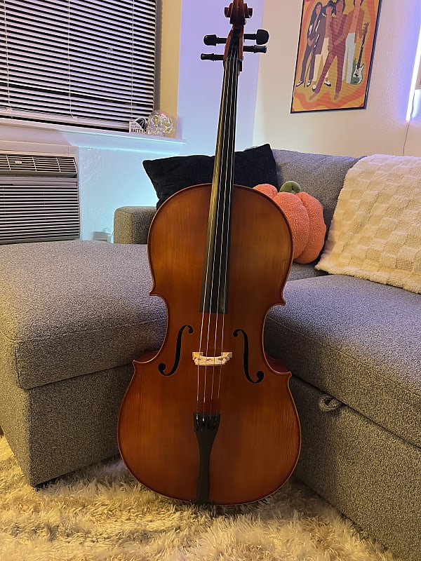 Eastman VC200 | Reverb