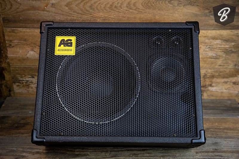AccuGroove Powered Wedgie+ Active Bass Monitor and Cabinet | Reverb