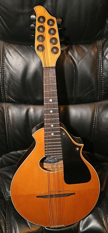 C. Bruno and Son The Vernon 1920's Natural | Reverb