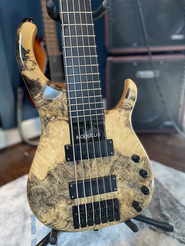 Modulus Quantum 6 - rare Buckeye Burl top! | Reverb