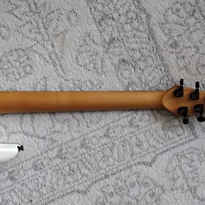 Kiesel Aries Titanium 2023 | Reverb