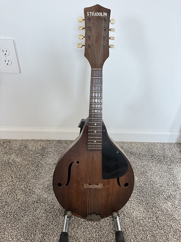 Stradolin Mandolin 1940-1950’s | Reverb