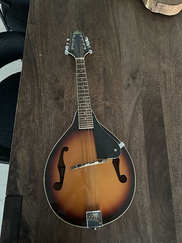 Rogue Mandolin | Reverb