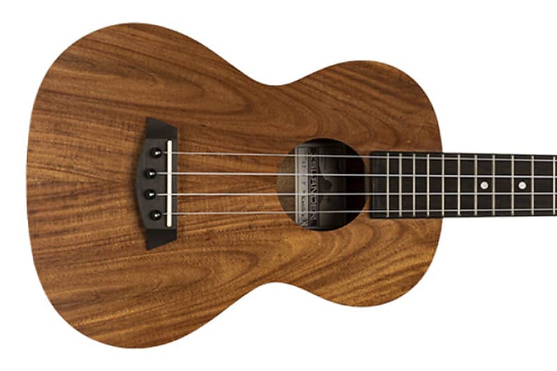 Islander AT-4 FLAMED Traditional Tenor Ukulele | Reverb