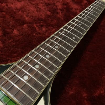 c.1960s Greco/Fujigen GR973SP MIJ Vintage Hollow Body Guitars | Reverb