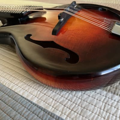 1997 US-made Rigel S-100 acoustic-electric mandolin | Reverb