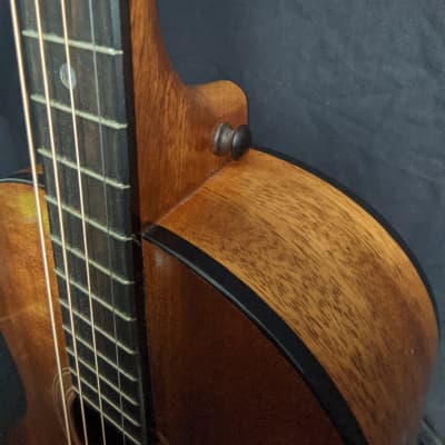 Fletcher Instruments JD1 Tenor Guitar | Reverb