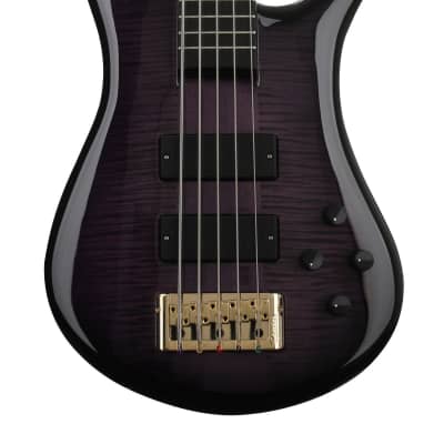 Spector Euro 5 LT, Violet Fade Gloss w/ Ebony | Reverb