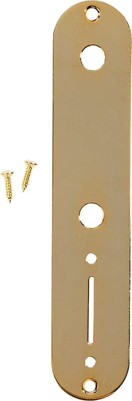 Tele Control Plate (Gold) | Reverb