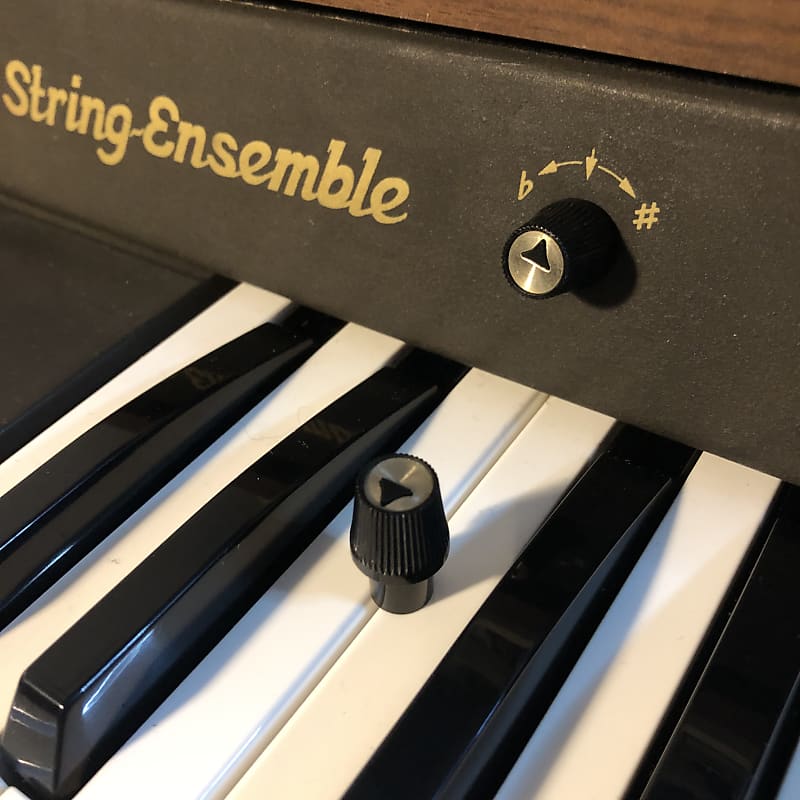 Solina String Ensemble - ARP - tuning knob | Reverb