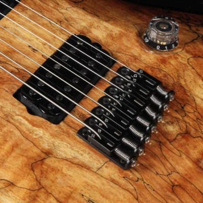 PRS Private Stock 7-string Multi-Scale | Reverb