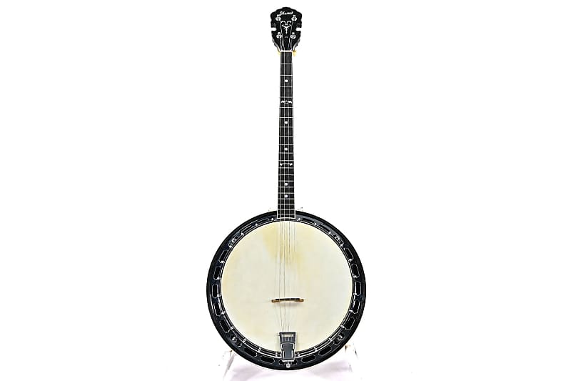 Ibanez 4 String Banjo | Reverb
