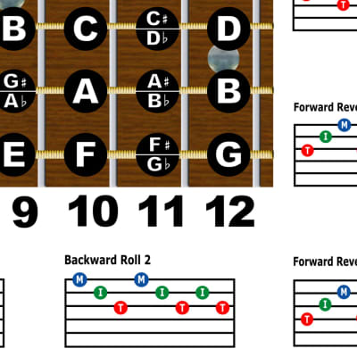Laminated Dobro G Tuning Resonator Chord Poster Chart 11x17 | Reverb