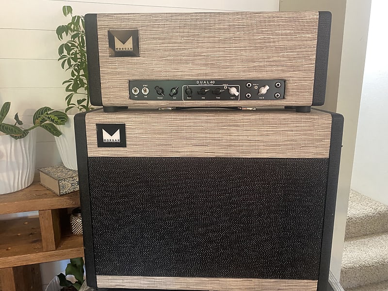 Morgan Dual 40 With Matching Cabinet Driftwood | Reverb