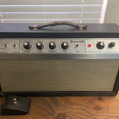 Electro-Harmonix Solid State Reverb Pre-1980's | Reverb