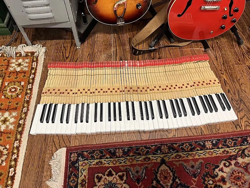 Fender Rhodes Mark I Seventy Three Keys Full Set Marcel | Reverb