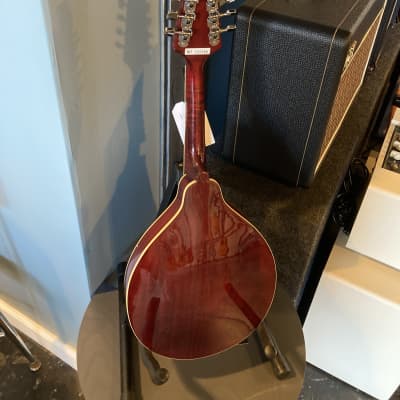 1990s Alvarez A100 Mandolin - MIK - Comes with Case! | Reverb