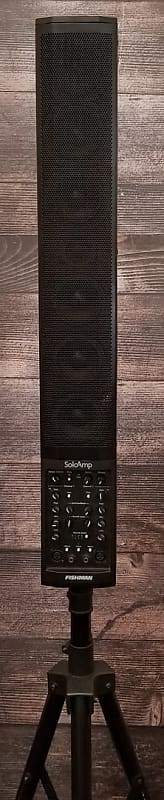 Fishman Soloamp column Powered Speaker (Sarasota, FL) | Reverb