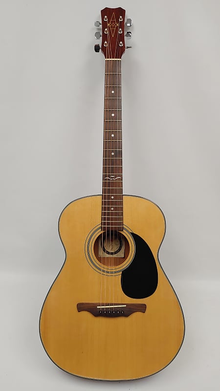 Alvarez Regent 5216 Acoustic Guitar with Case - Ready To Play | Reverb