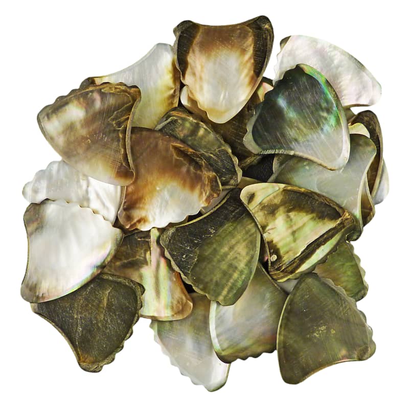 Black Abalone Shell Guitar Pick - Shark Fin Shape - Handmade | Reverb