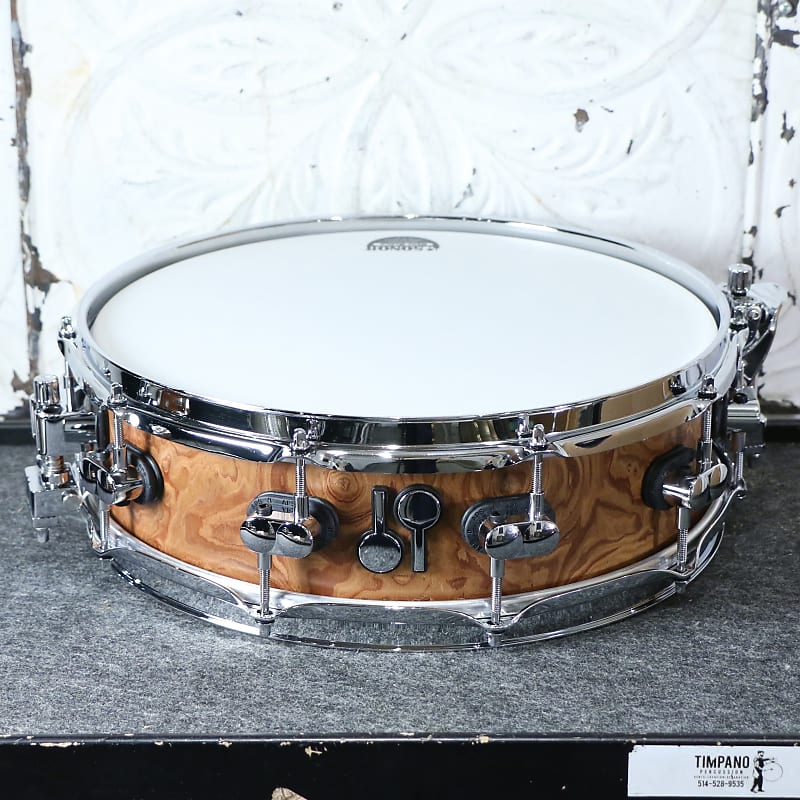 Sonor SQ2 Medium Maple Snare Drum 14X4.25in - Walnut Roots | Reverb