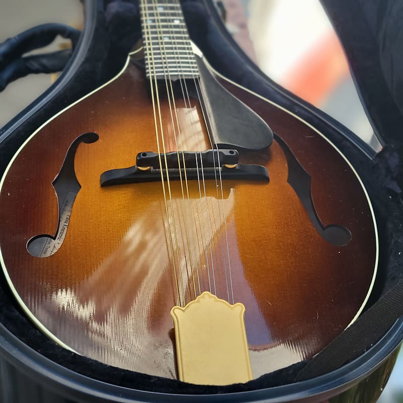 Pava Player A 2016 - Gloss | Reverb