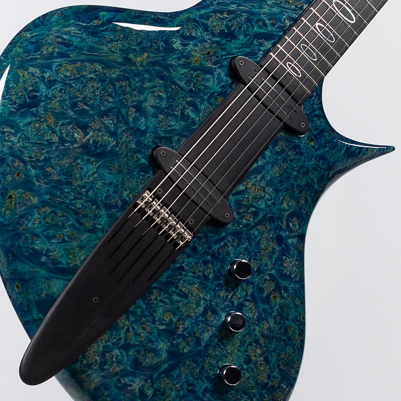 Ritter PJS Aqua Monique Maple Burl W/Case | Reverb